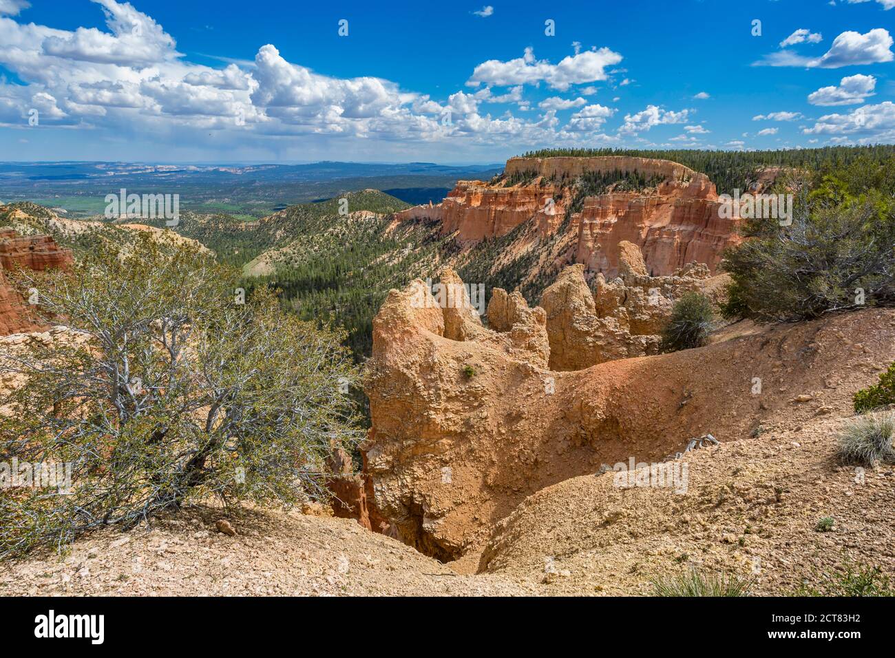 Pariah View lookout in Bryce Canyon National Park in Utah Stock Photo ...