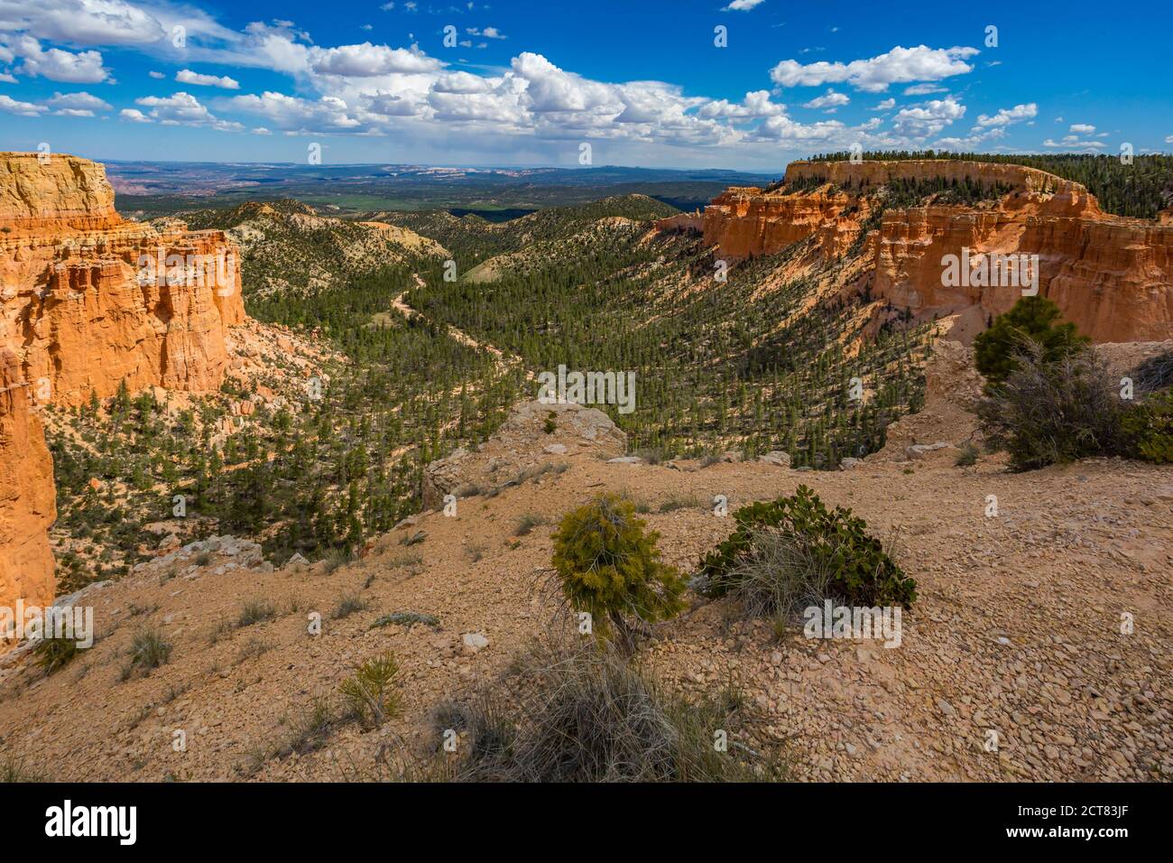 Pariah view hi-res stock photography and images - Alamy