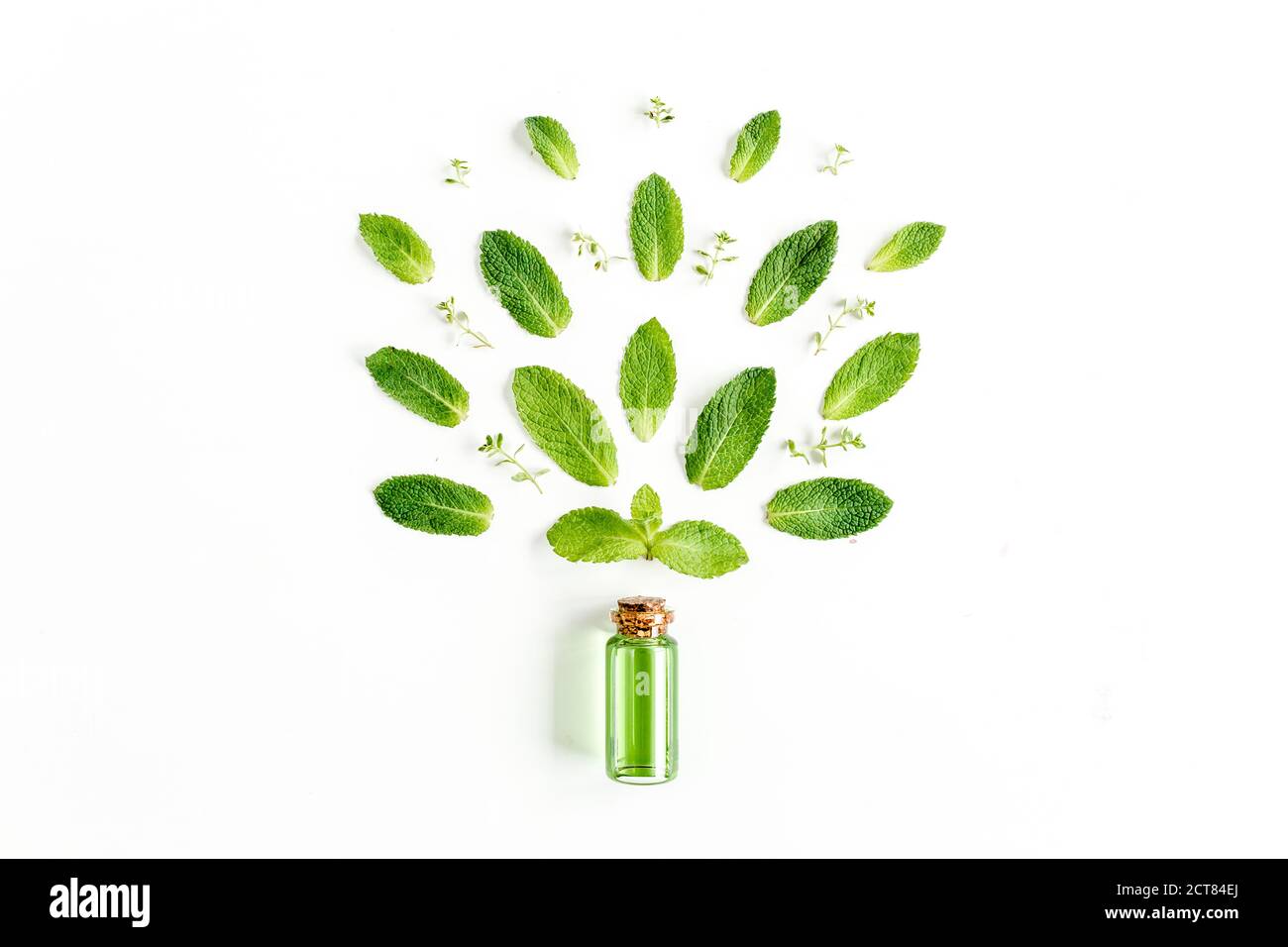 Essential oil and greenmint leaves on white background. Medicinal herbs ...