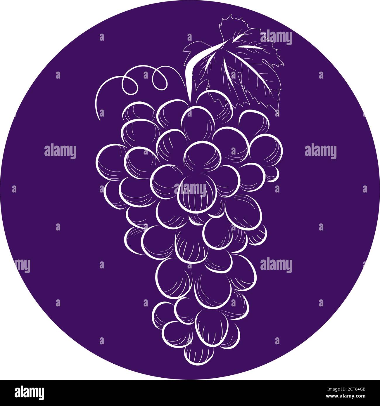 Composition of outline grapes on a purple circle. Autumn thematics ...
