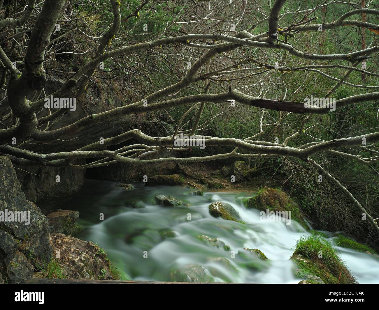 Birth of the cuervo river hi-res stock photography and images - Alamy