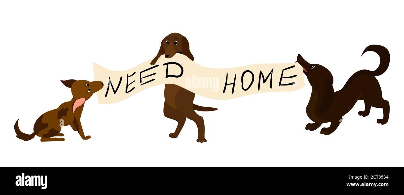 Cartoon illustration sad homeless dog hi-res stock photography and ...
