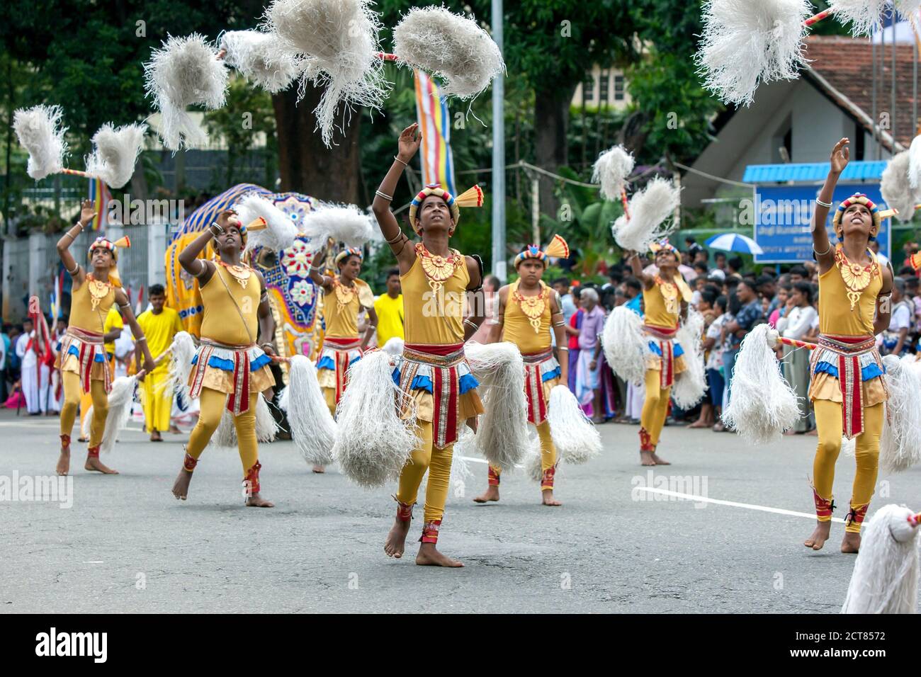 A group of Chamara Dancers perform during the Day Perahera, the final ...