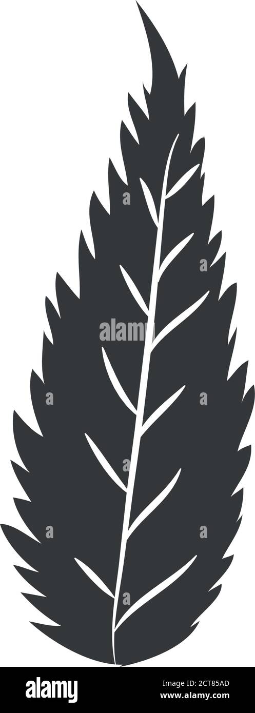 wild cherry leaf icon over white background, silhouette style, vector ...