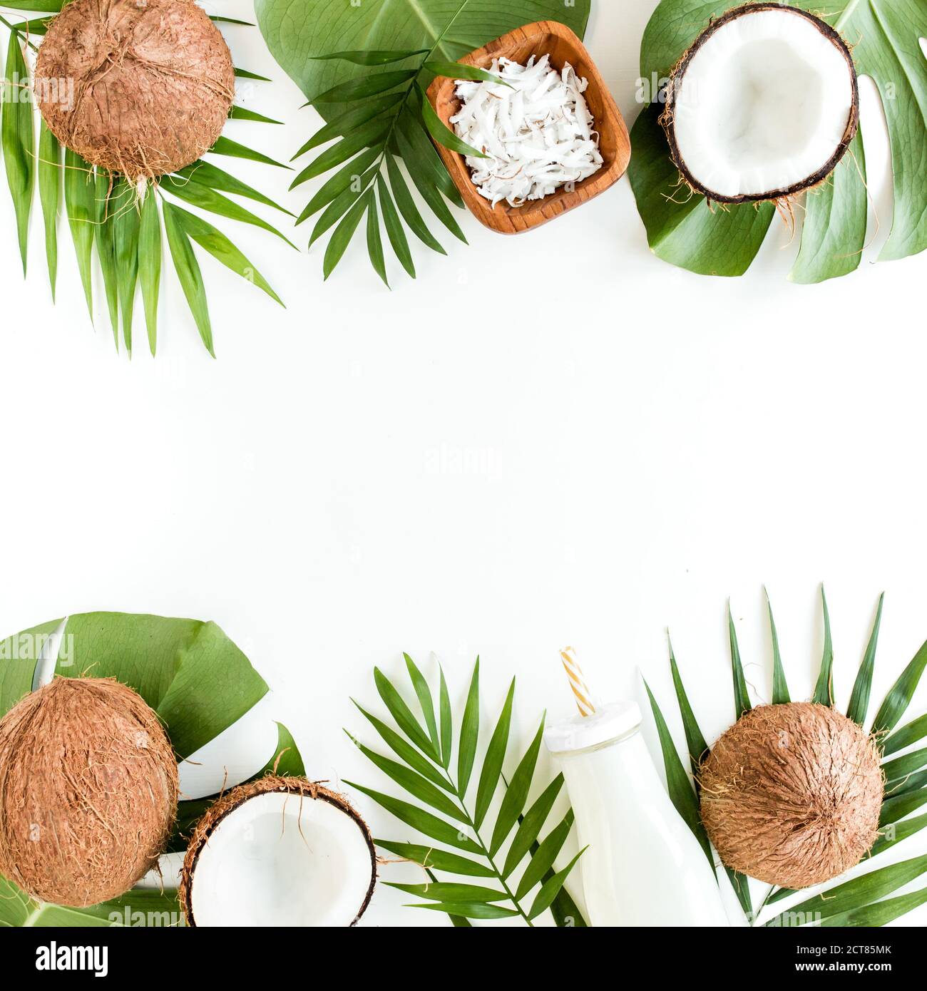 Pattern, frame borders with coconuts and tropical palm leaves on white ...