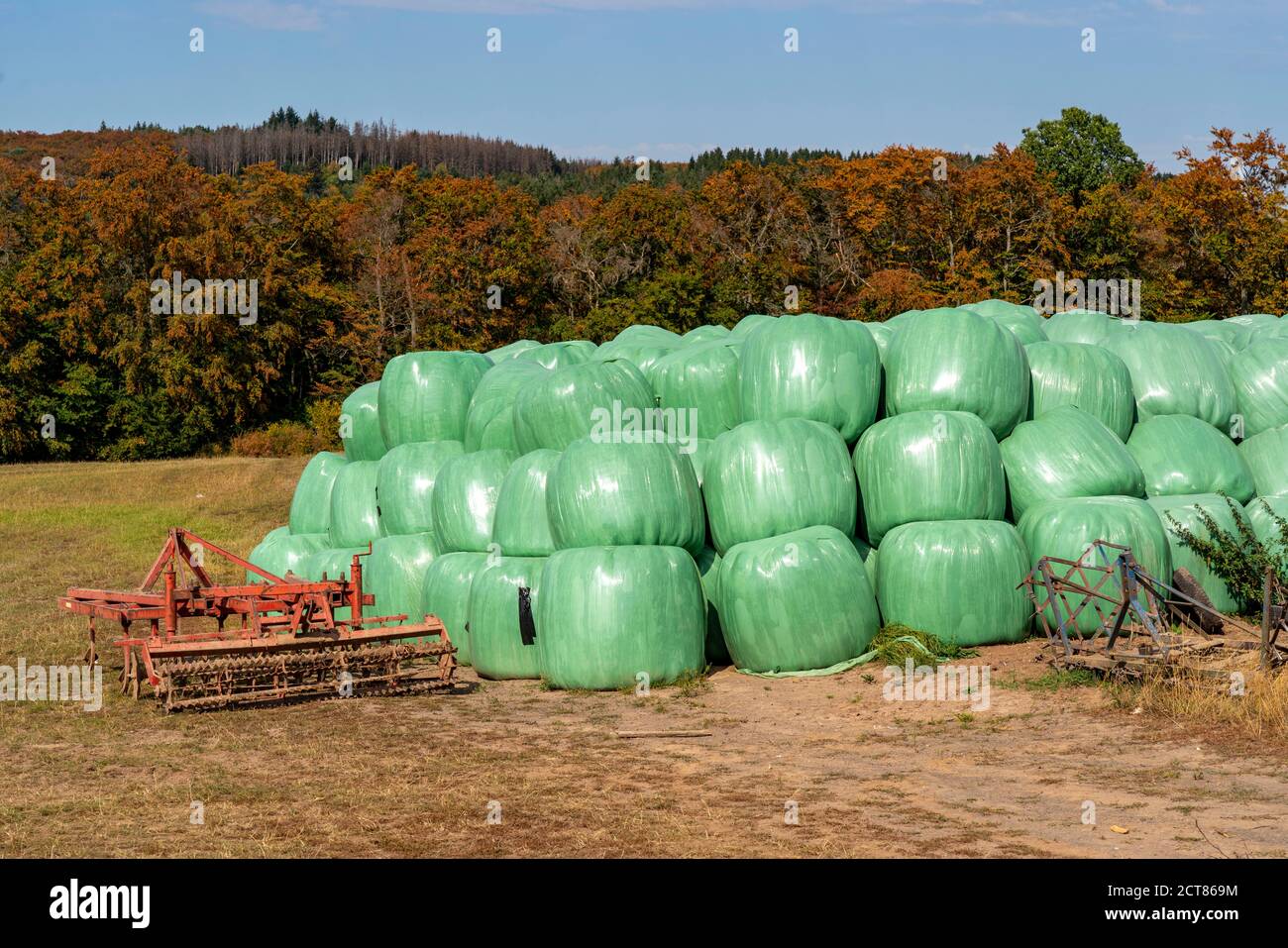 Bales of straw, wrapped in plastic film, hay, fodder, on a farm, near ...