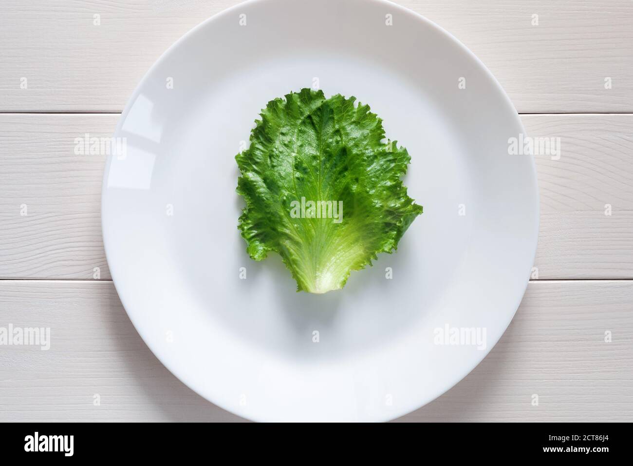 Lettuce plate hi-res stock photography and images - Alamy