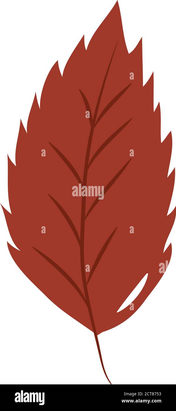 autumn leaves concept, elm leaf icon over white background, flat style ...