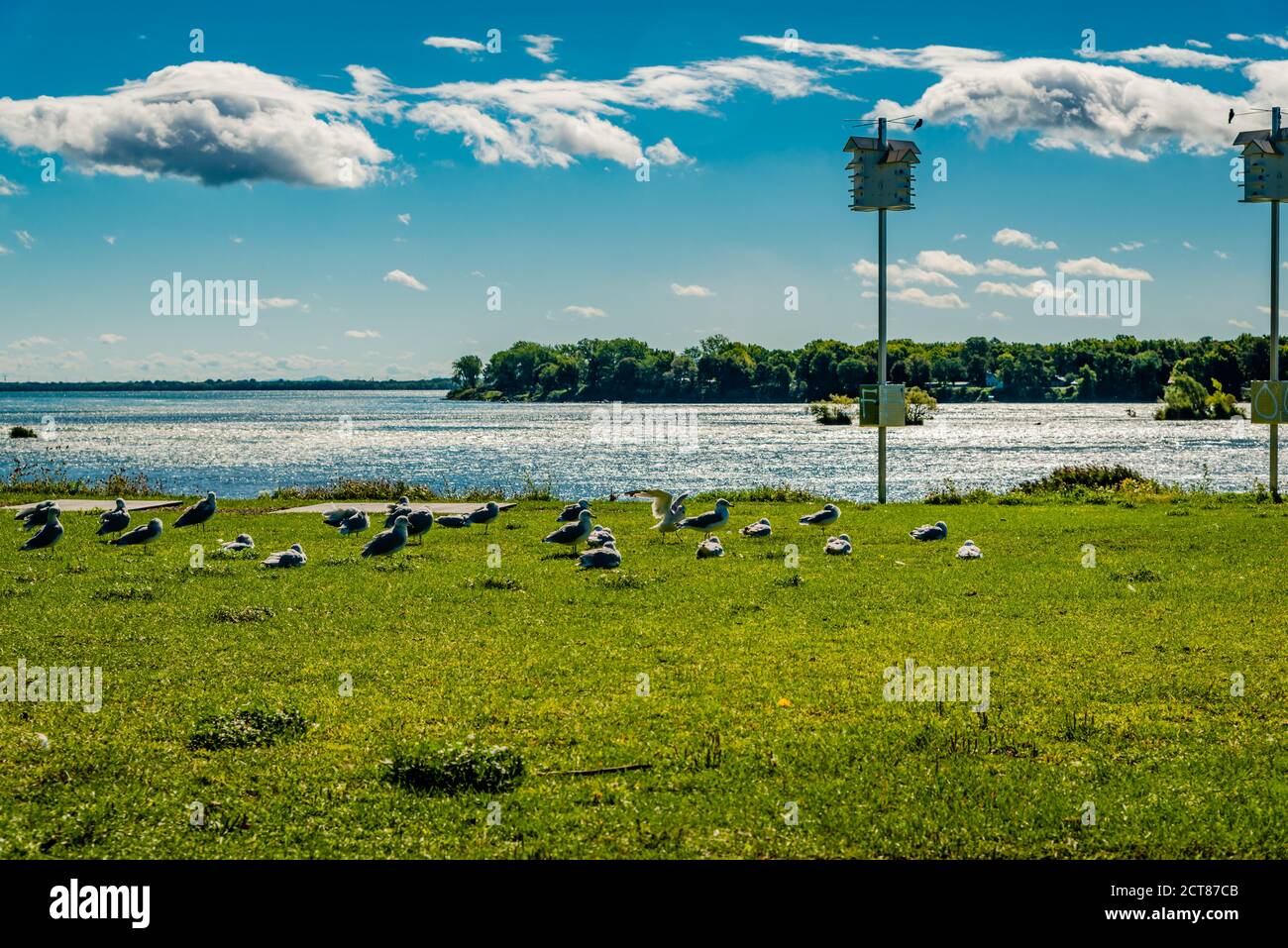 Lawrence lake hi-res stock photography and images - Alamy