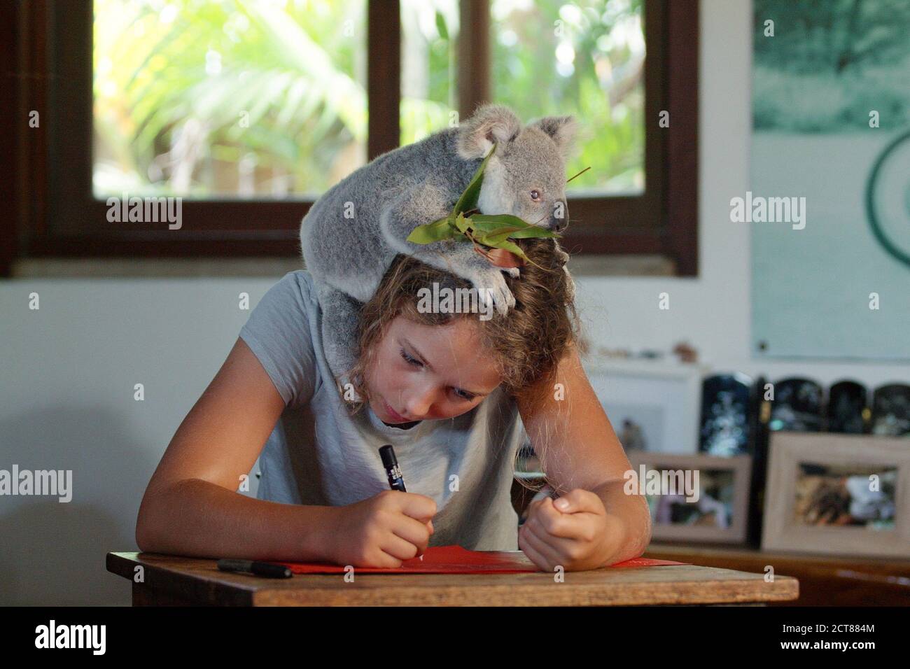 IZZY S KOALA WORLD, Izzy Bee with rescued koala bear, (Season 1, ep ...