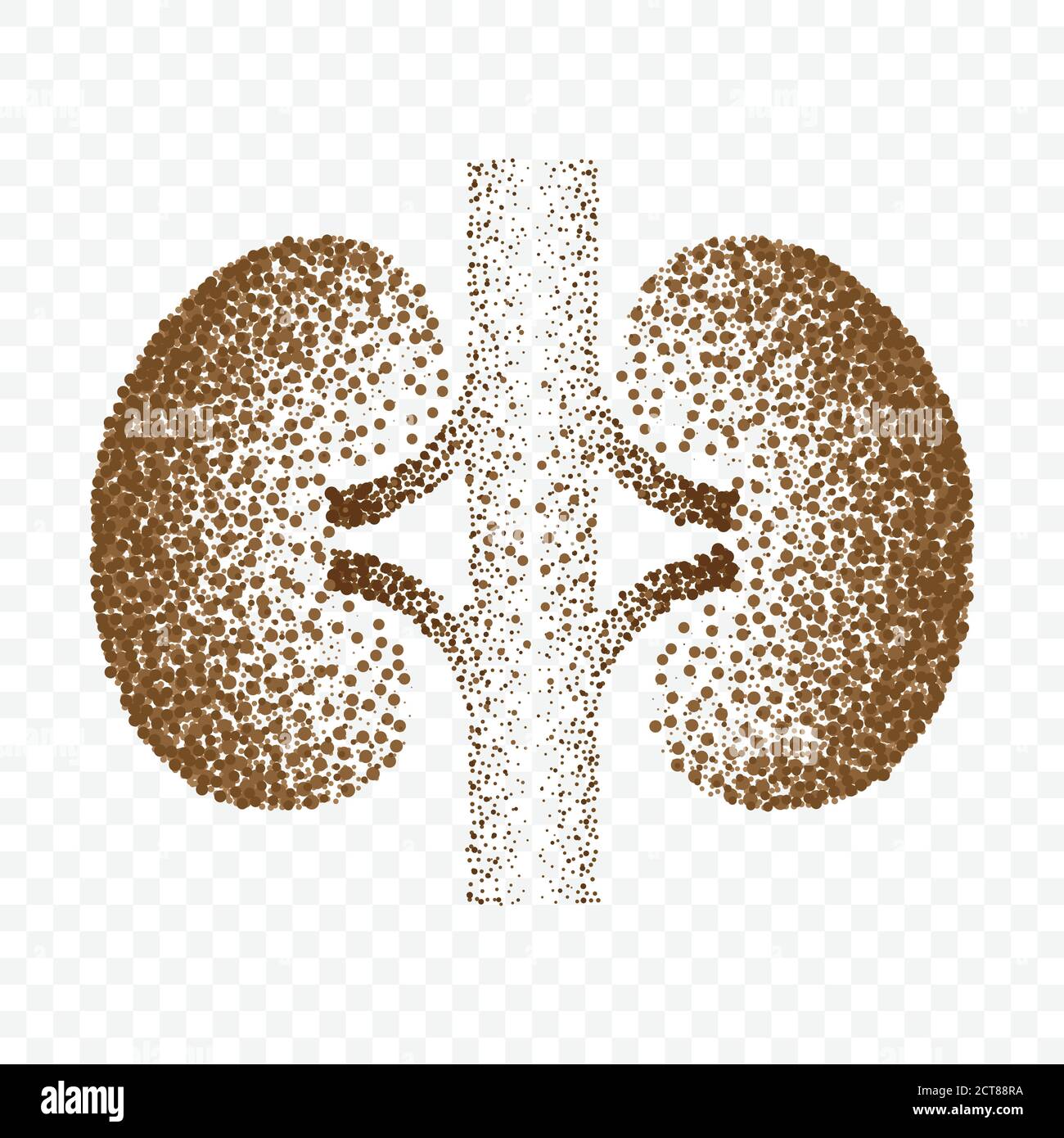 Human internal organ kidneys Stock Vector Images - Alamy