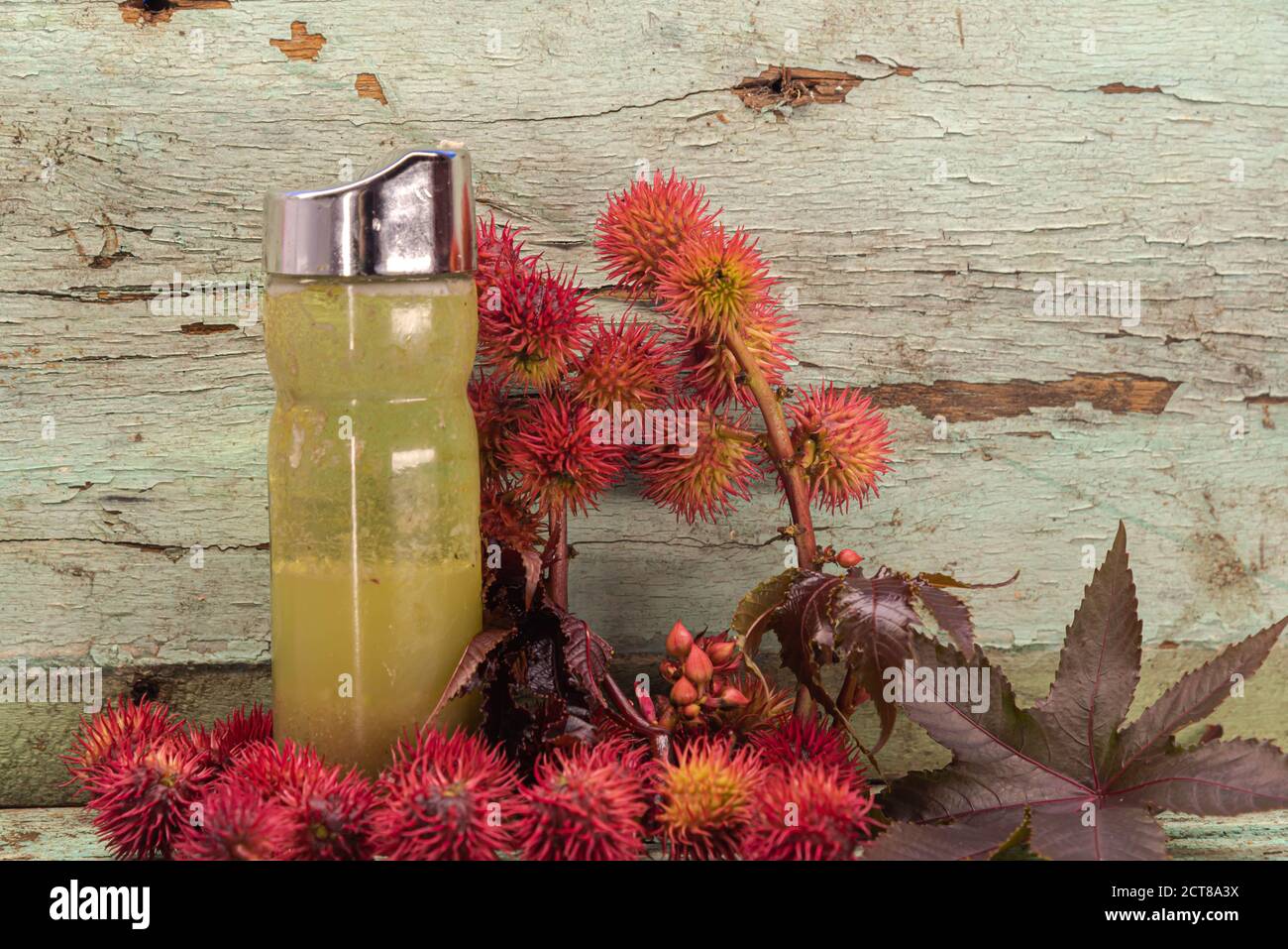 Indian castor oil hi-res stock photography and images - Alamy