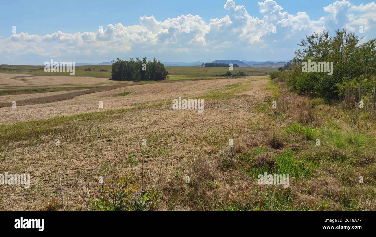 Agronomy illustration hi-res stock photography and images - Alamy