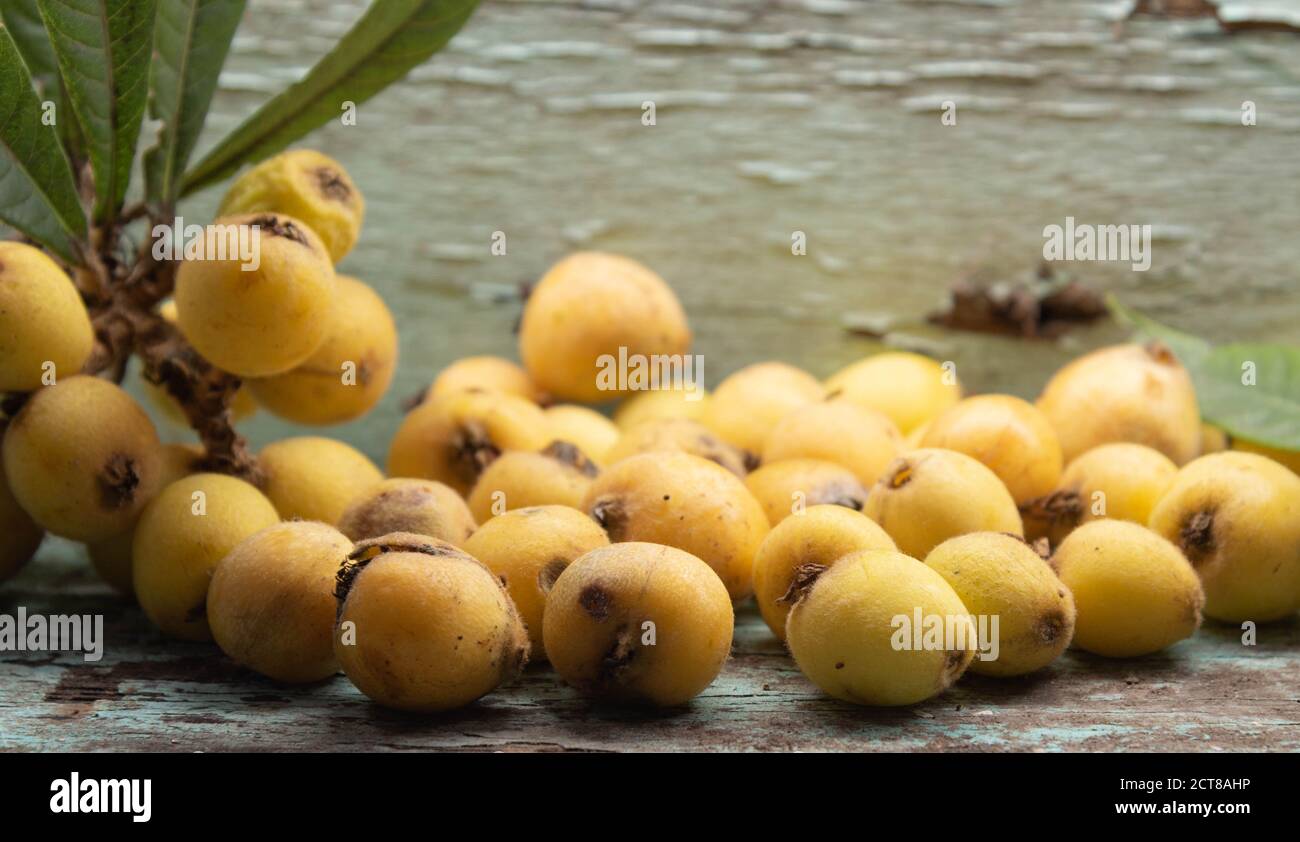 Yellow medlar fruits (Eriobotrya japonica). The loquat consists of a ...