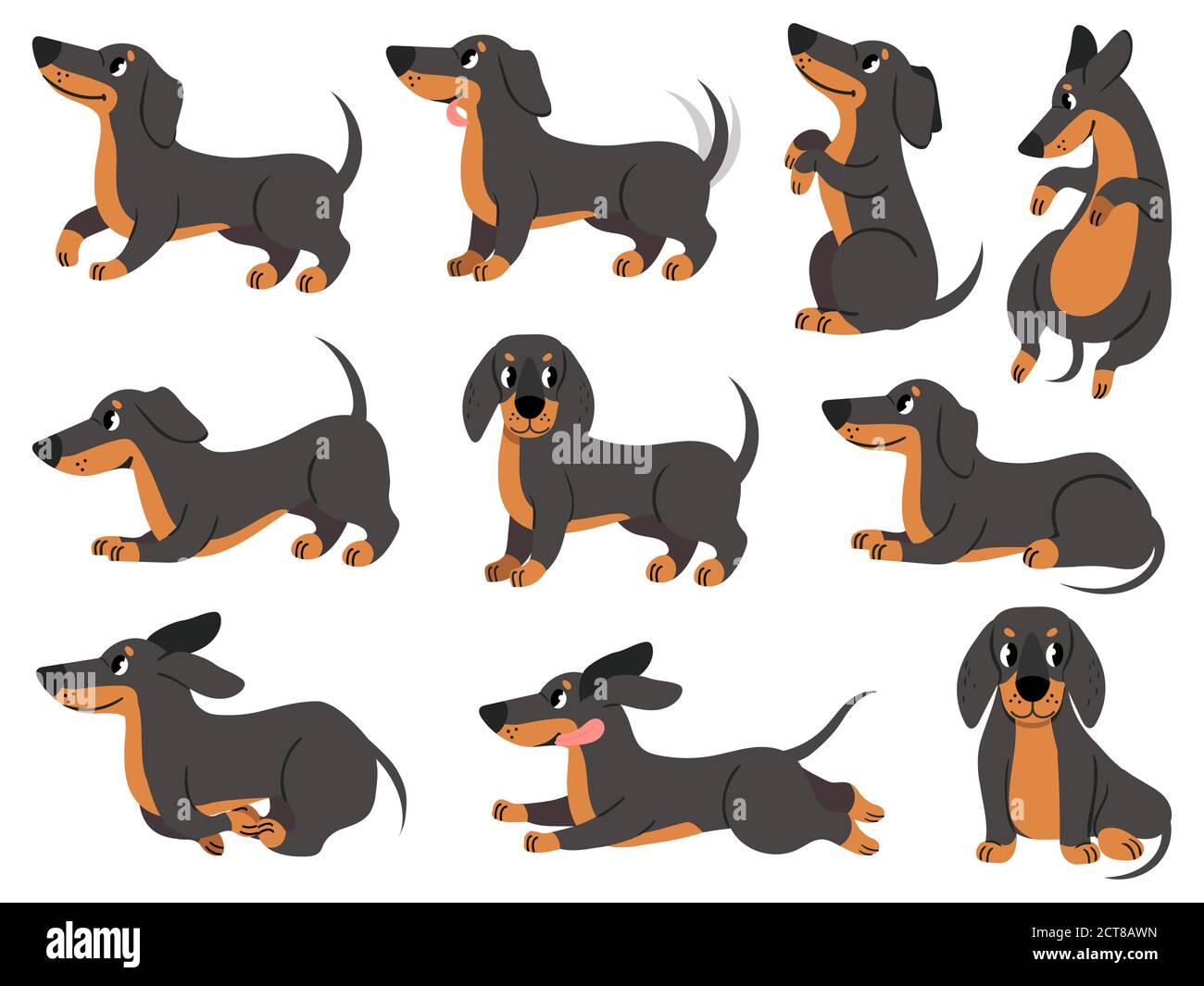 Dachshund. Cute dogs characters various poses hunting breed, design for prints, textile or card ...