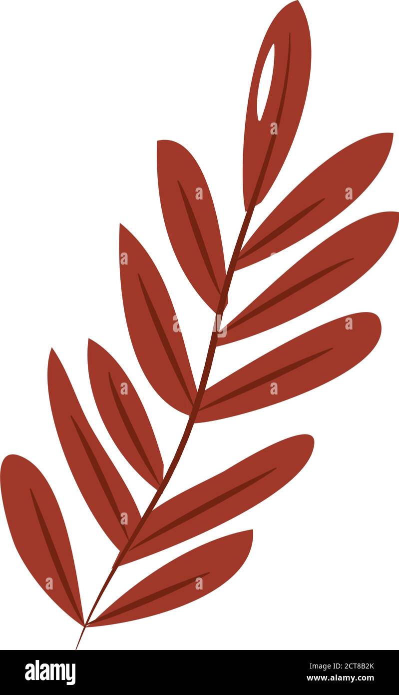 autumn leaves concept, rowan leaf icon over white background, flat ...