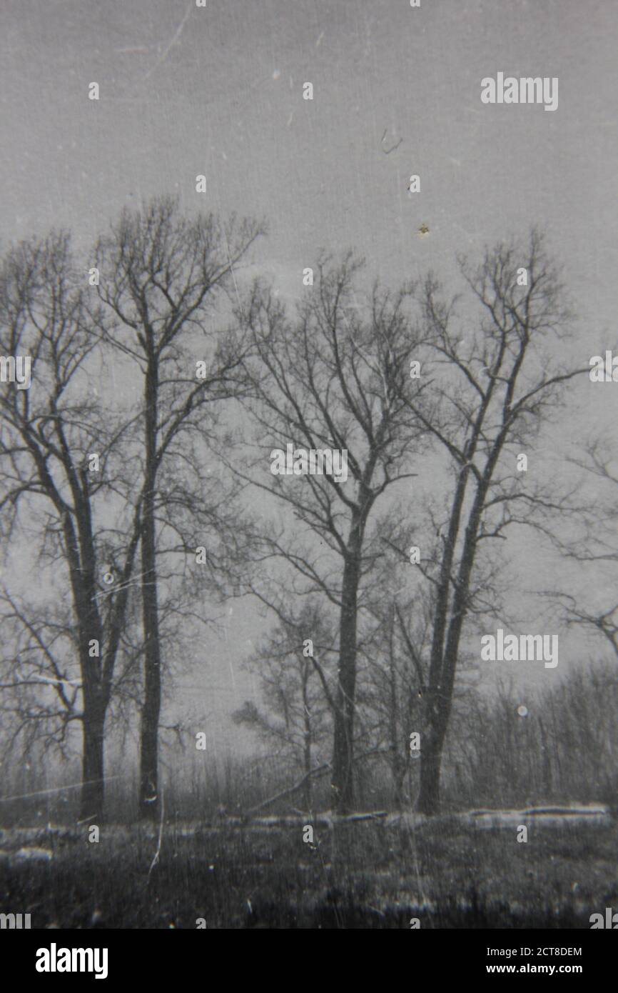 1970s snowstorm hi-res stock photography and images - Alamy