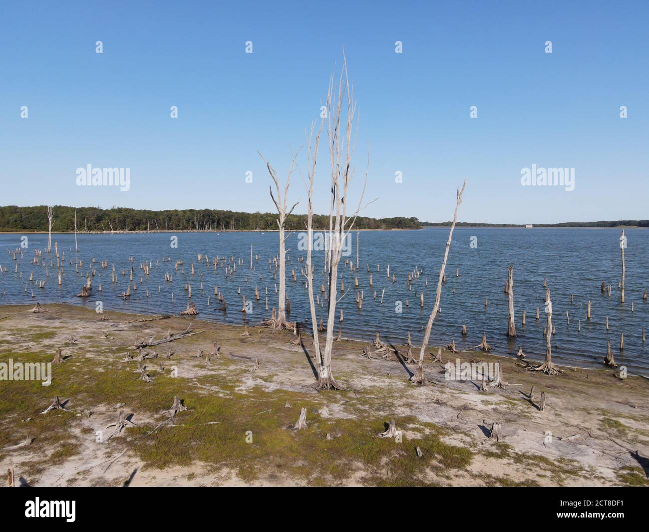 Aerial view of dead tree trunks in the ripply lake at Manasquan ...