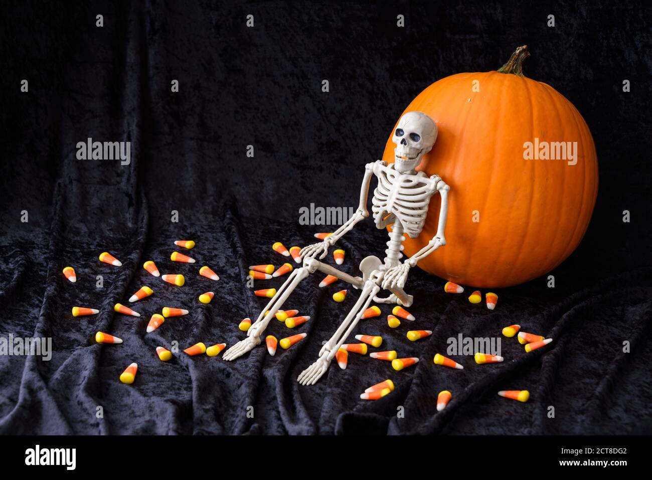 Skeleton orange pumpkin classic hi-res stock photography and images - Alamy