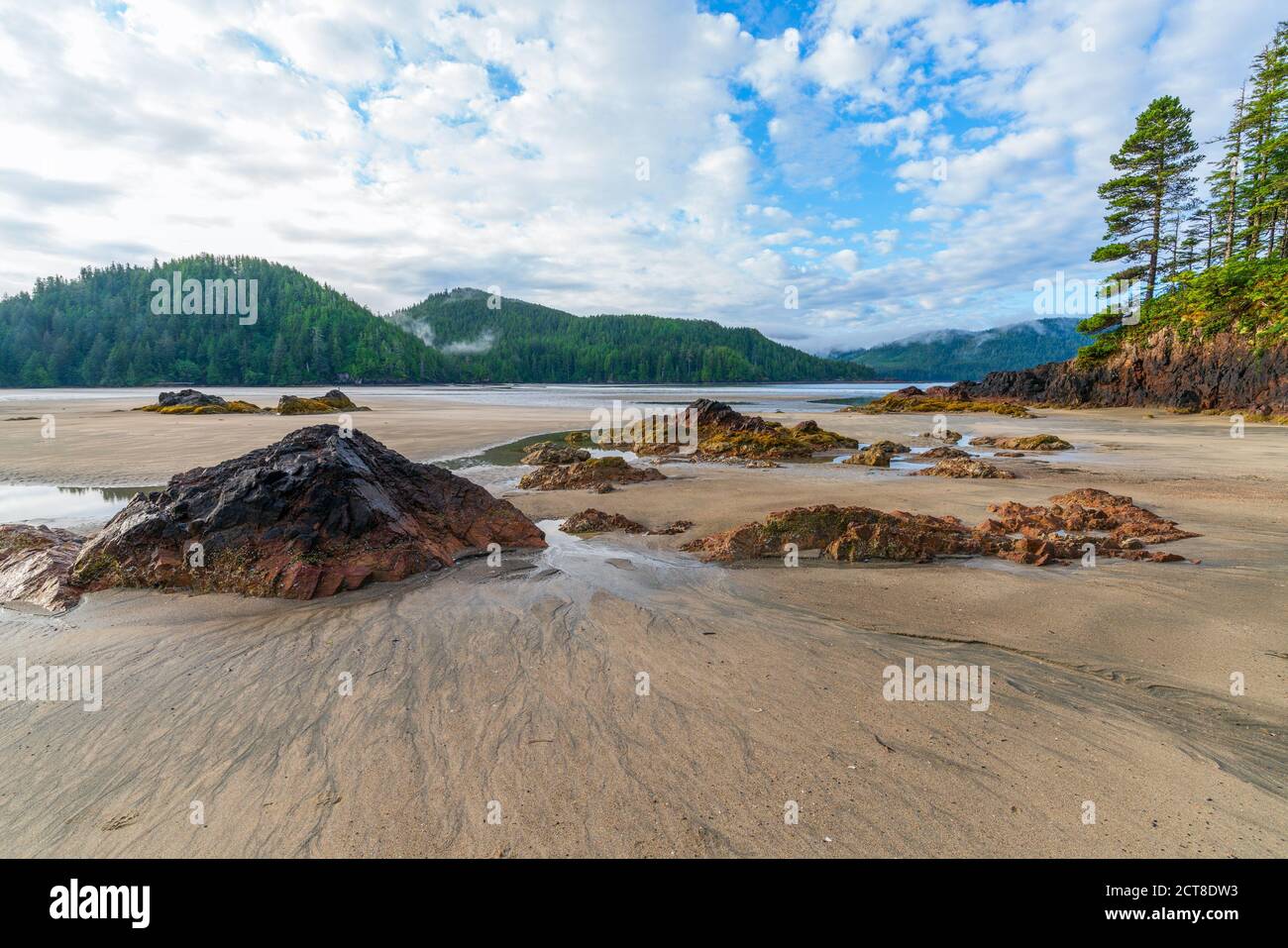 Cape scott provincial park hi-res stock photography and images - Alamy