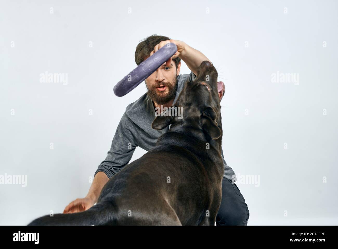 happy owner with pet black dog training model emotions Stock Photo - Alamy