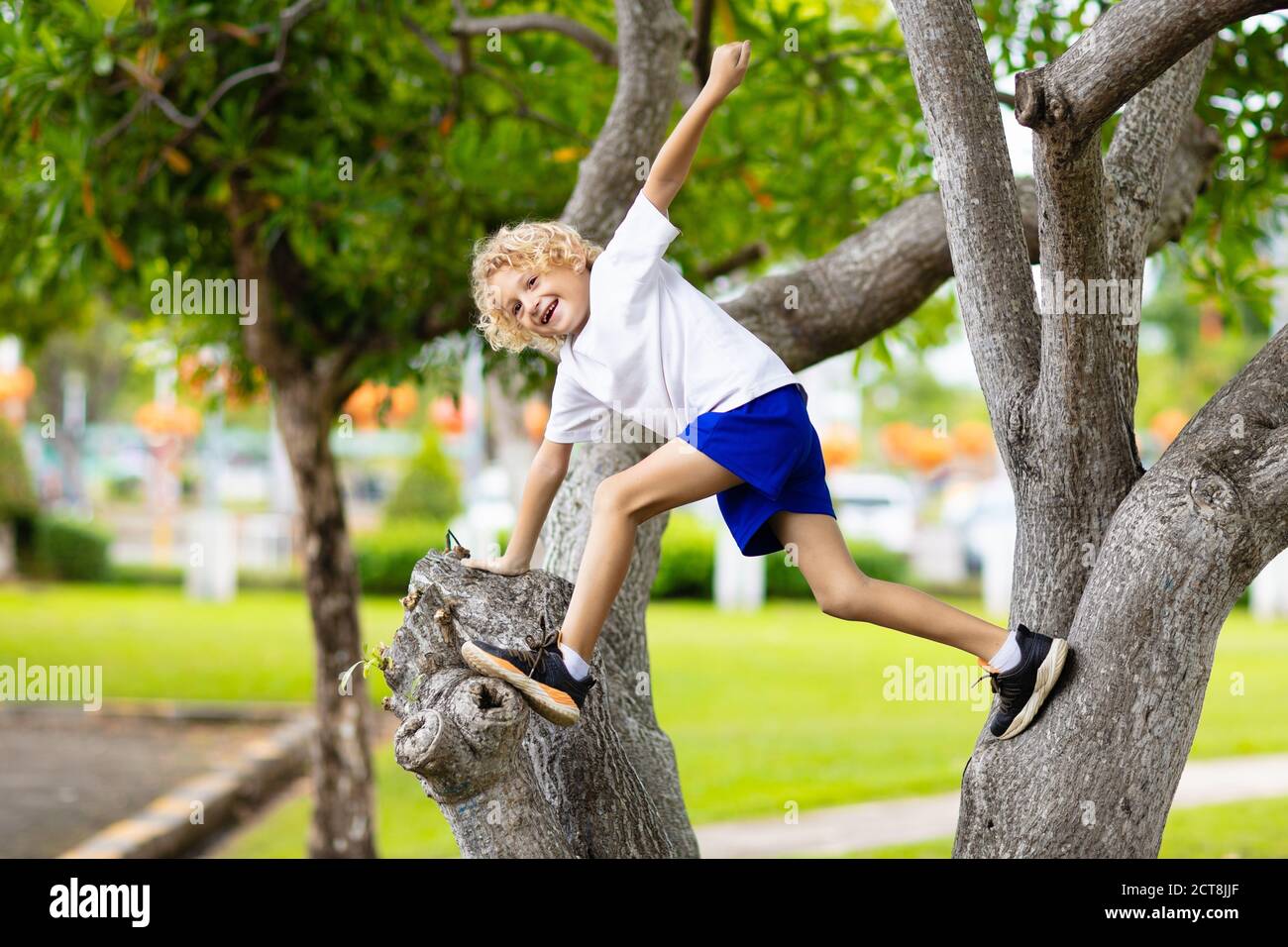 Kids climb tree in summer park. Child climbing. Adventure for young ...