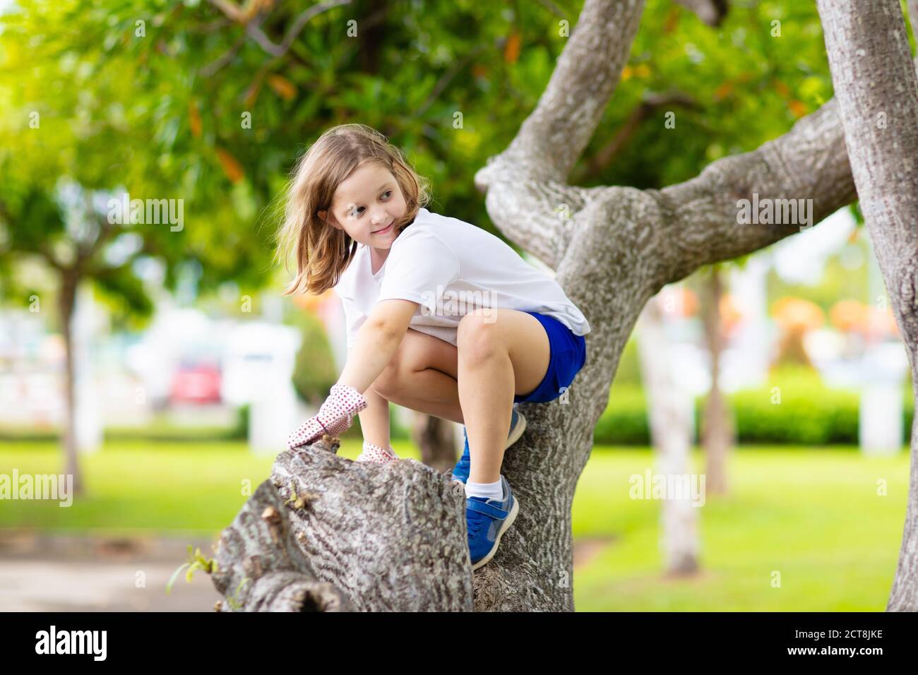 Kids climb tree in summer park. Child climbing. Adventure for young ...