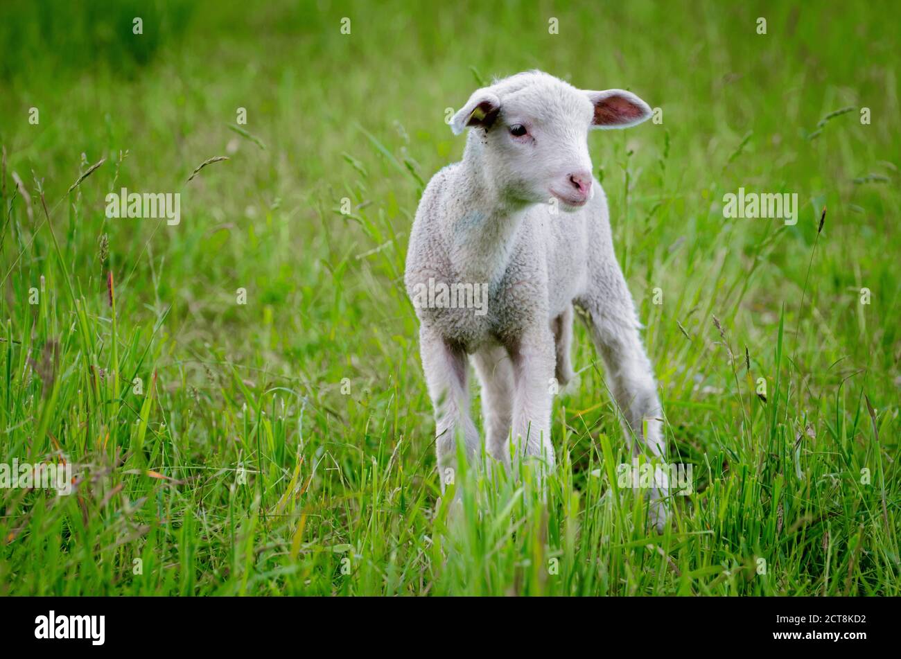 333dyhts hi-res stock photography and images - Alamy