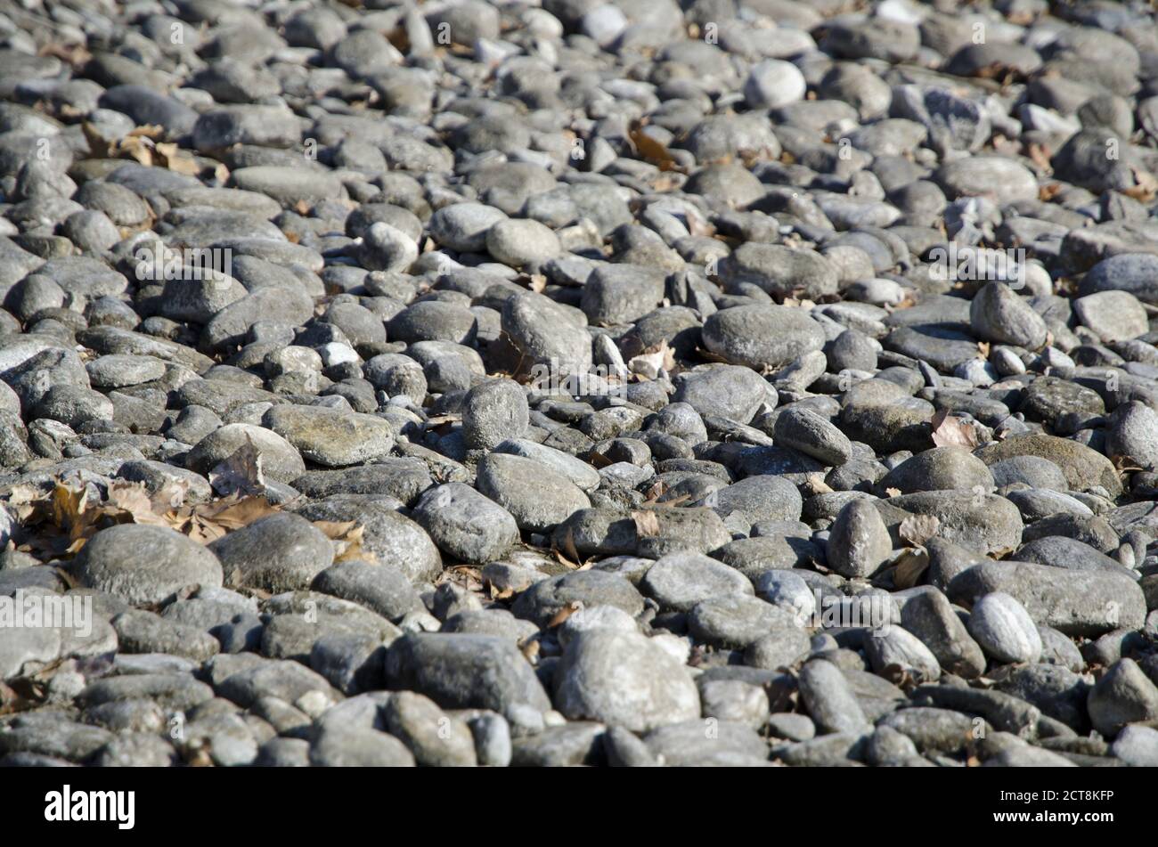 Stones on the Beach Stock Photo - Alamy