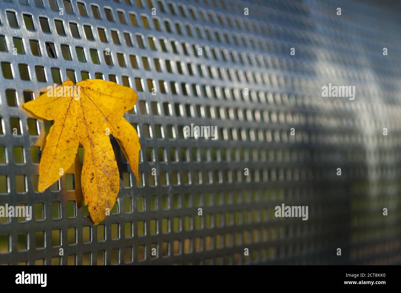 Perforated benches hi-res stock photography and images - Alamy