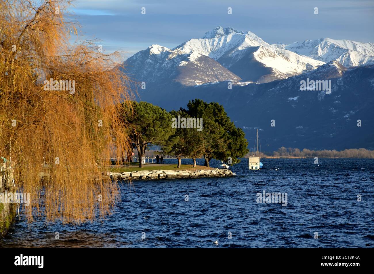 333dyjkb hi-res stock photography and images - Alamy