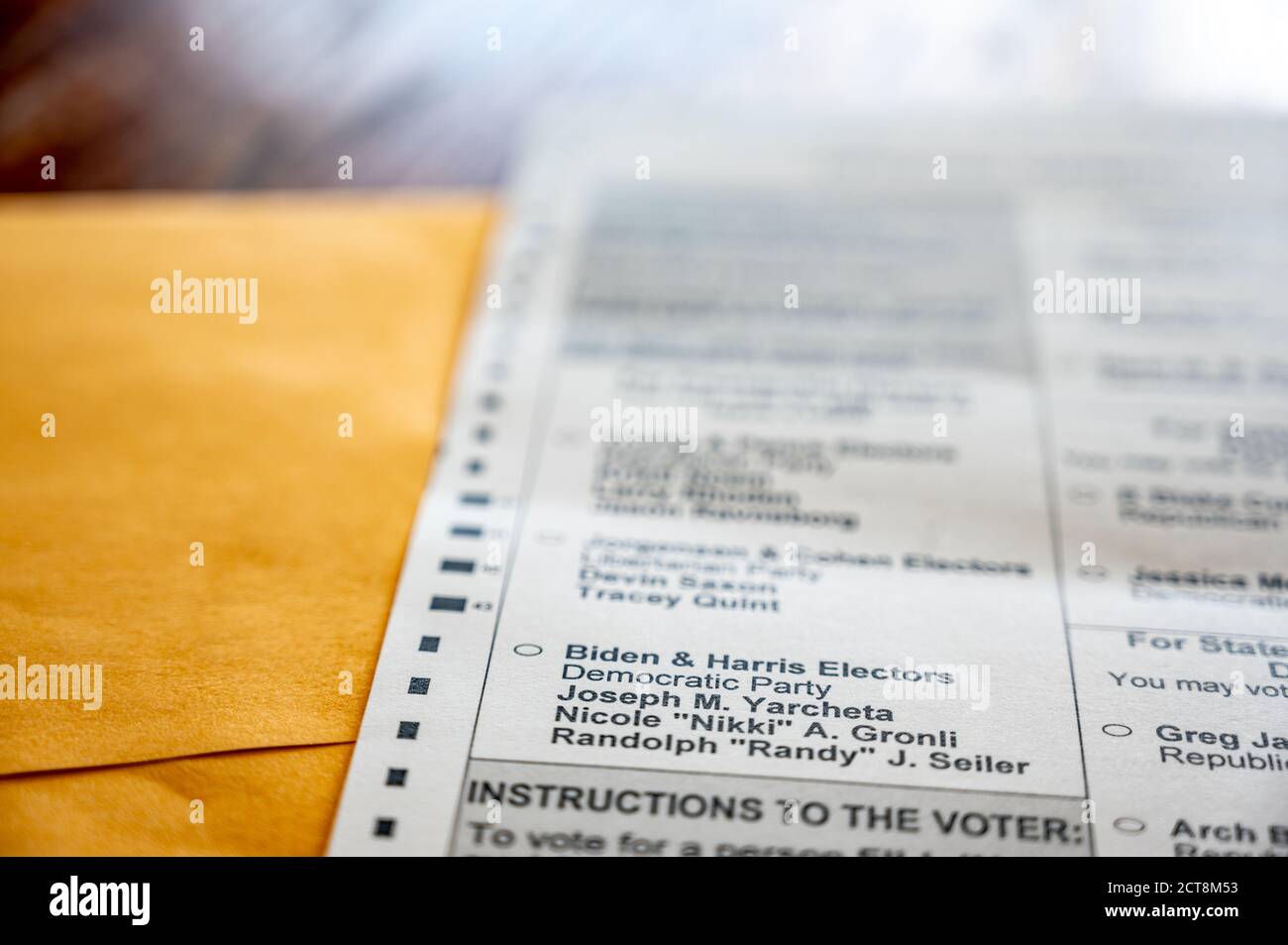 Official 2020 US general election ballot for president Stock Photo - Alamy
