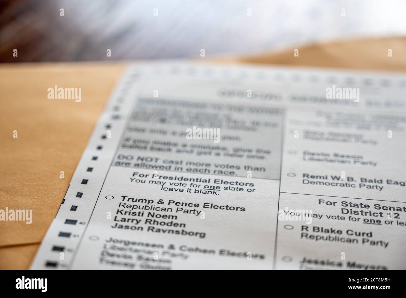 Official 2020 US general election ballot for president Stock Photo - Alamy