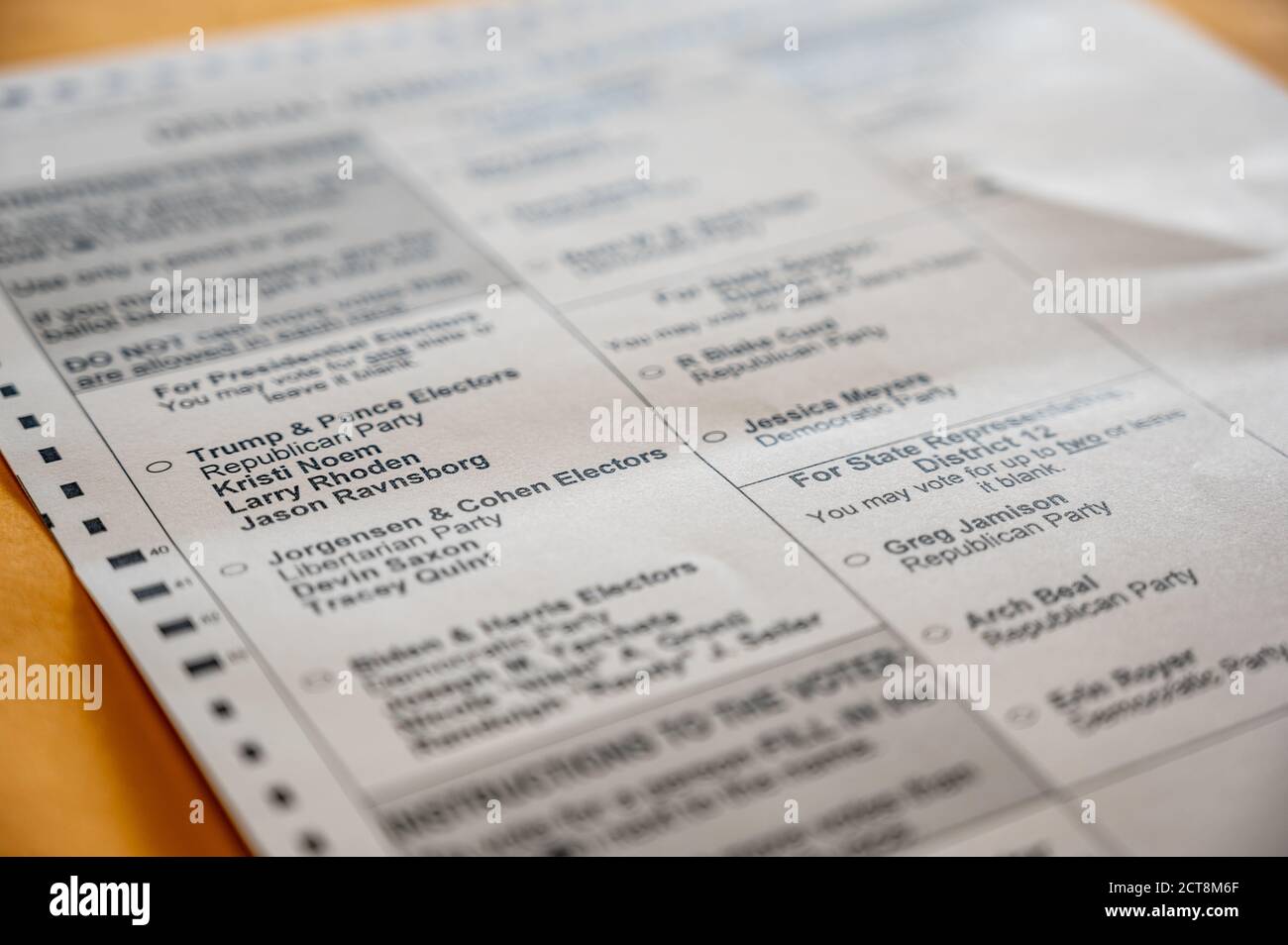 Official 2020 US general election ballot for president Stock Photo - Alamy