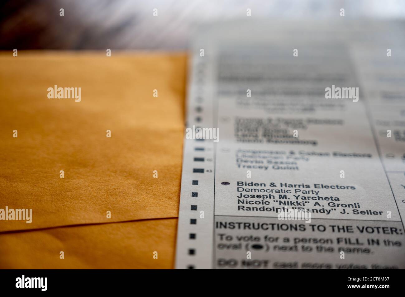 Official 2020 US general election ballot for president Stock Photo - Alamy