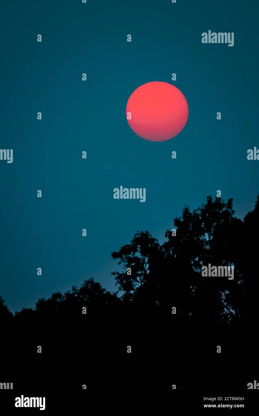Summer view of deep red colored sun, as viewed through smoky skies ...