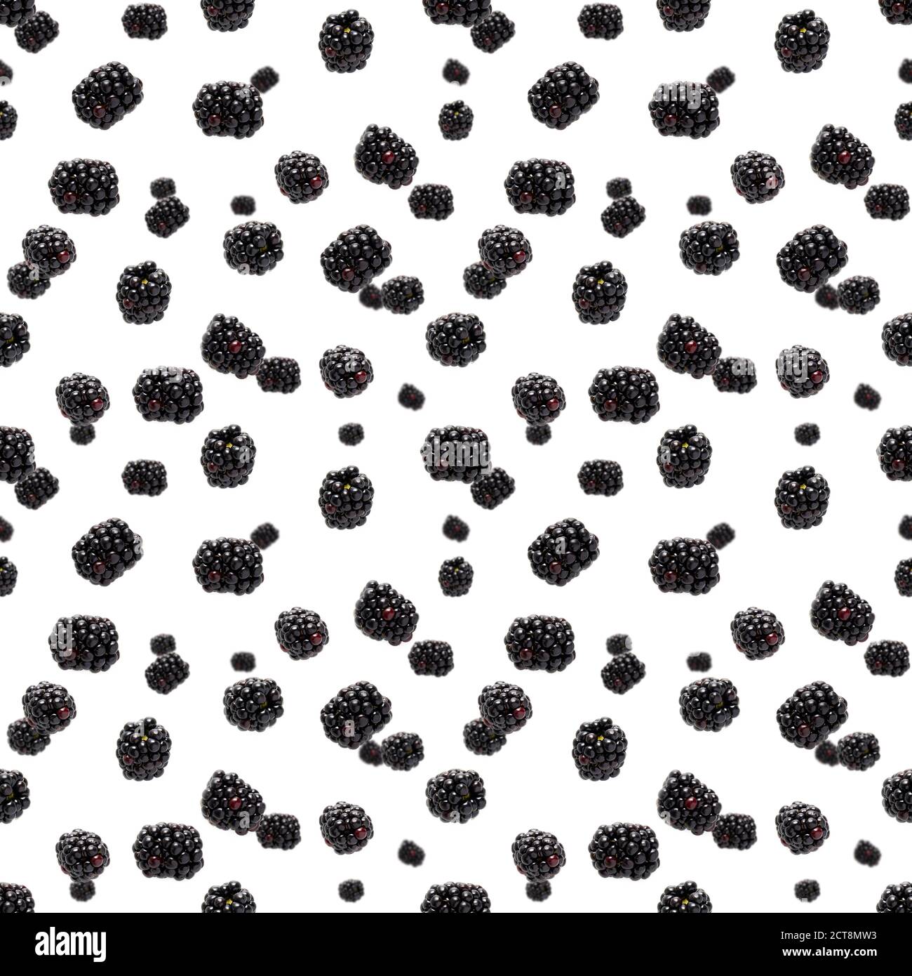 Falling Bramble Seamless pattern. Fresh Falling blackberry seamless ...