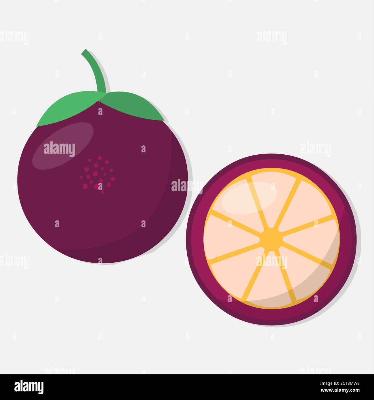 mangosteen fruit vector illustration in flat style Stock Vector Image ...