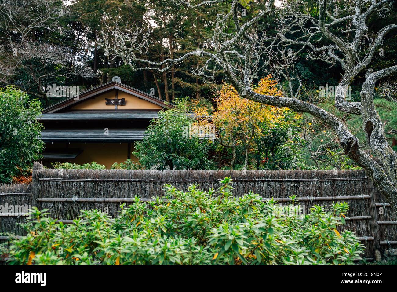 Tokei ji hi-res stock photography and images - Alamy