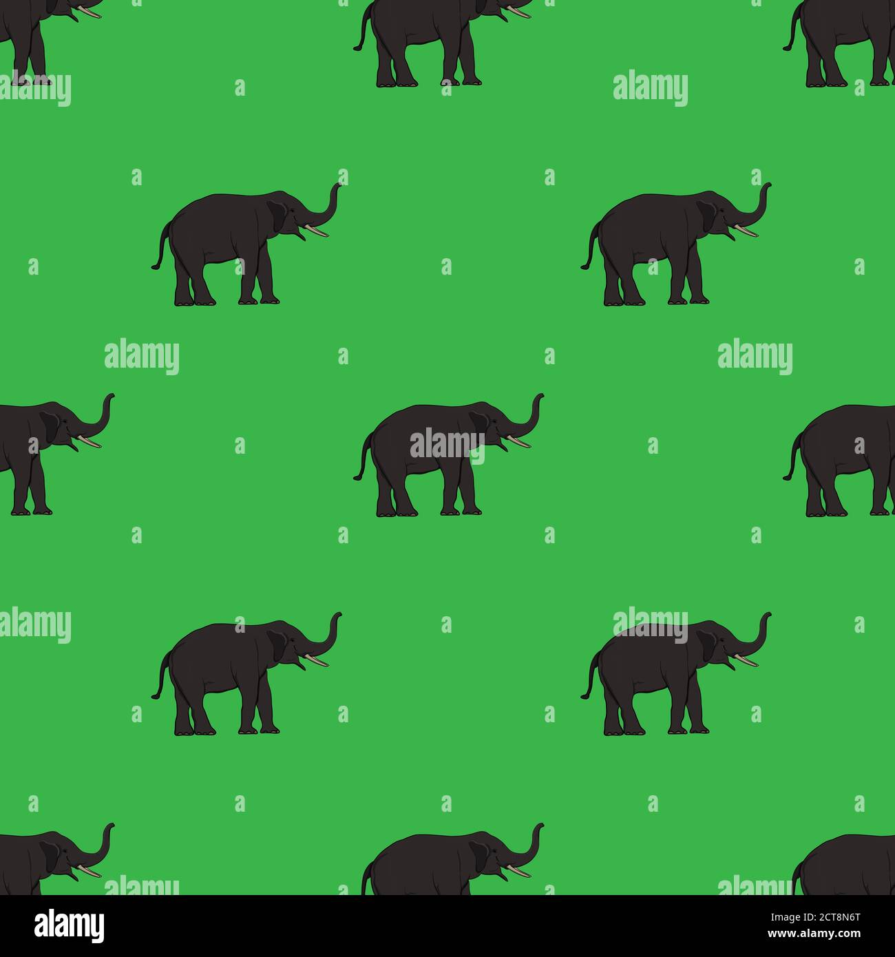 seamless image elephant Asia standing isolated on green background ...