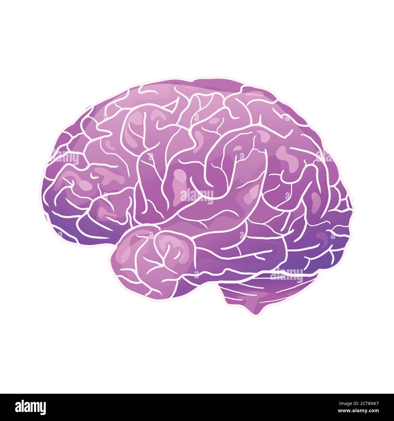 Cartoon neon illustration of a human brain with highlights and shadows ...