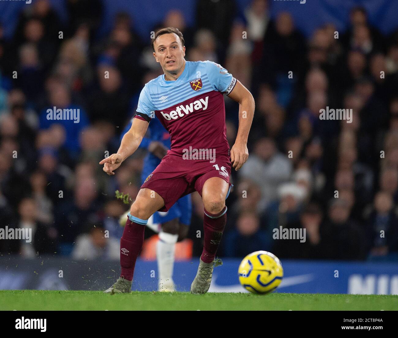 Chelsea noble photo hi-res stock photography and images - Alamy