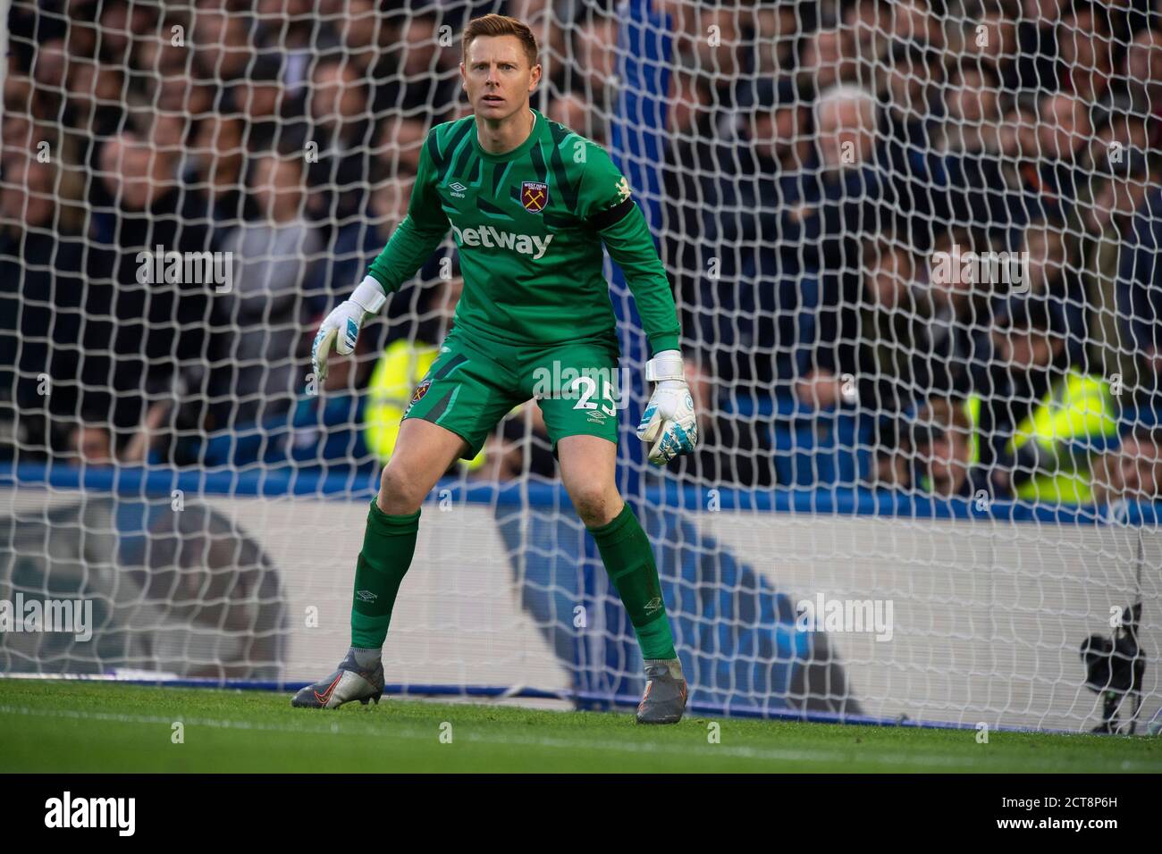 David martin hi-res stock photography and images - Alamy