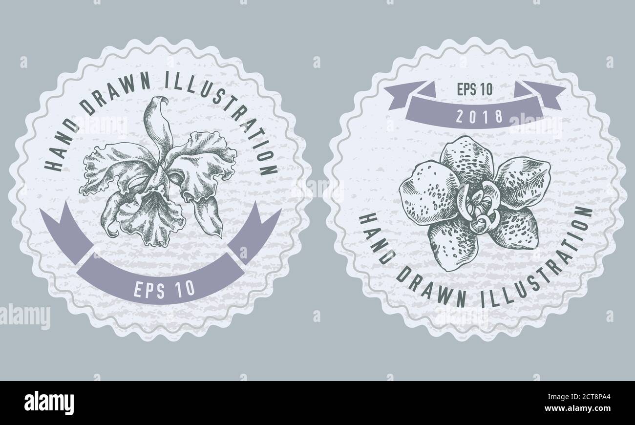 Monochrome labels design with illustration of orchid Stock Vector Image ...