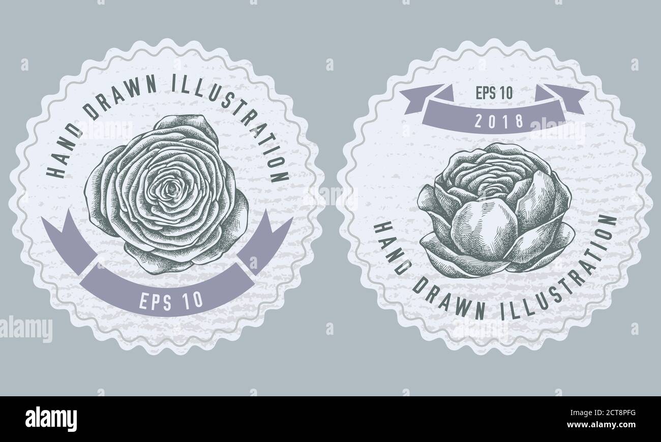 Monochrome labels design with illustration of ranunculus Stock Vector ...