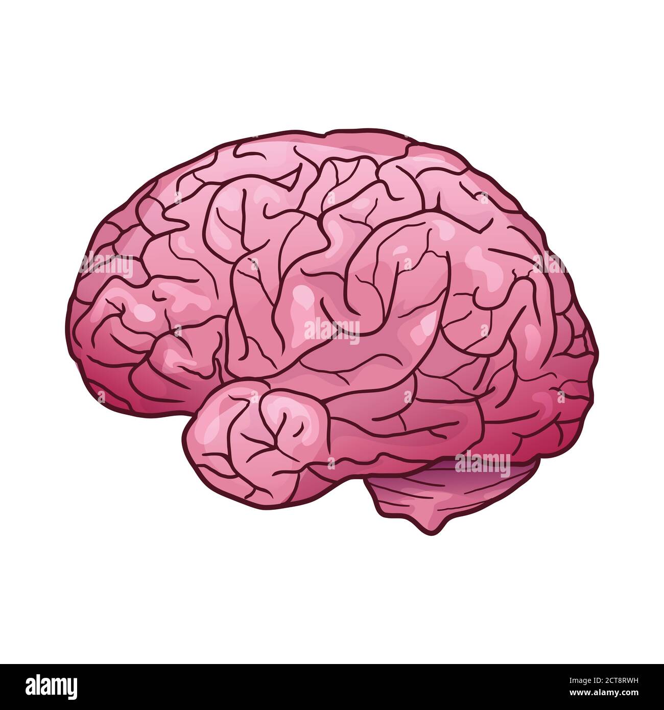 Cartoon Human Brain