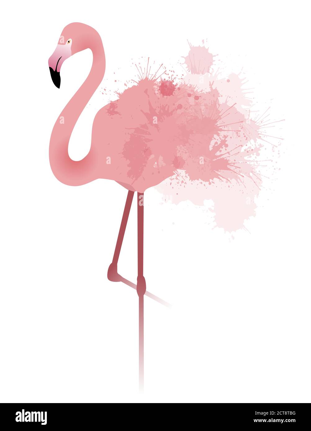 Vector illustration of pink flamingo with watercolor splatter and ...