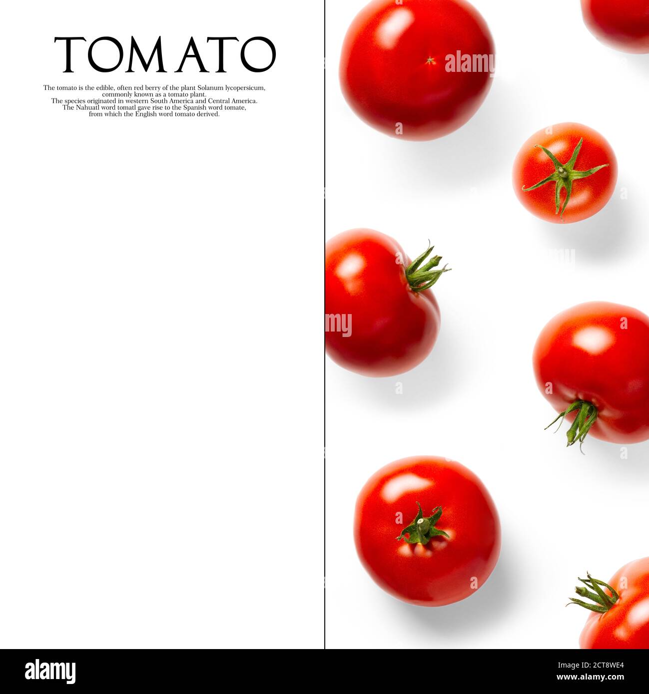 Creative layout made of tomato on the white background. Creative flat ...