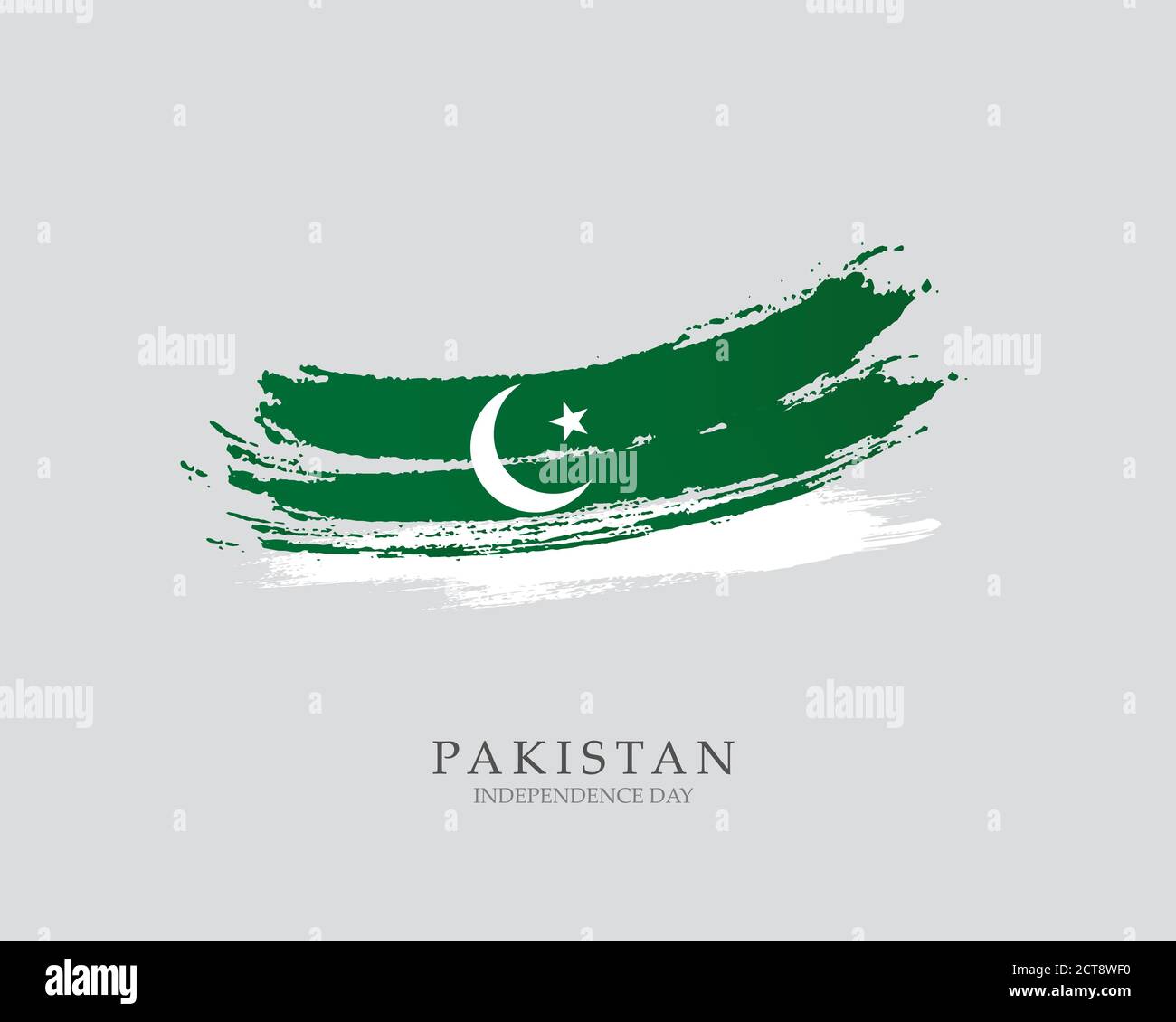 Flag of Pakistan Brush strokes drawn by hand Vector illustration on ...