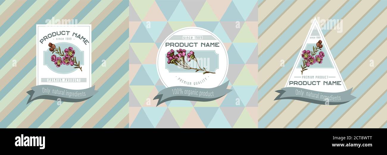 Three colored labels with illustration of wax flower Stock Vector Image ...